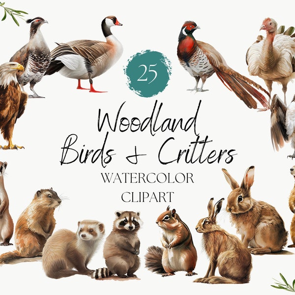 Woodland Clipart - Etsy