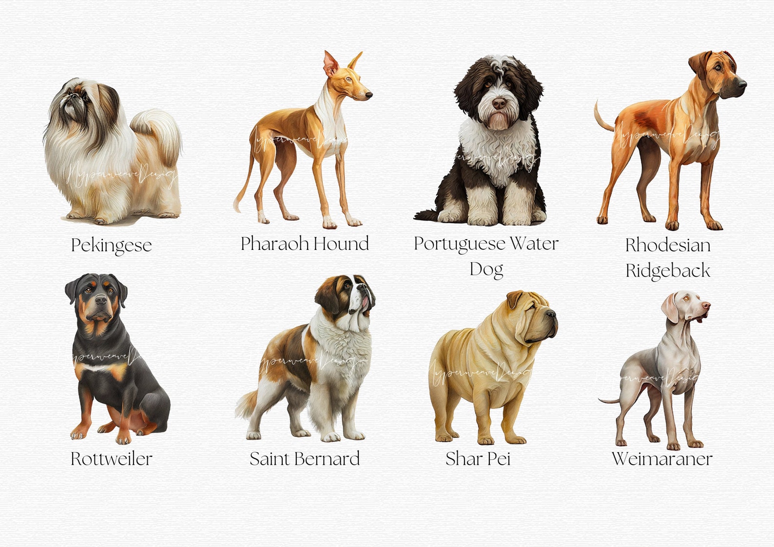 45 Dogs Clipart Set Hand Drawn Small Medium & Large Breeds Watercolor ...