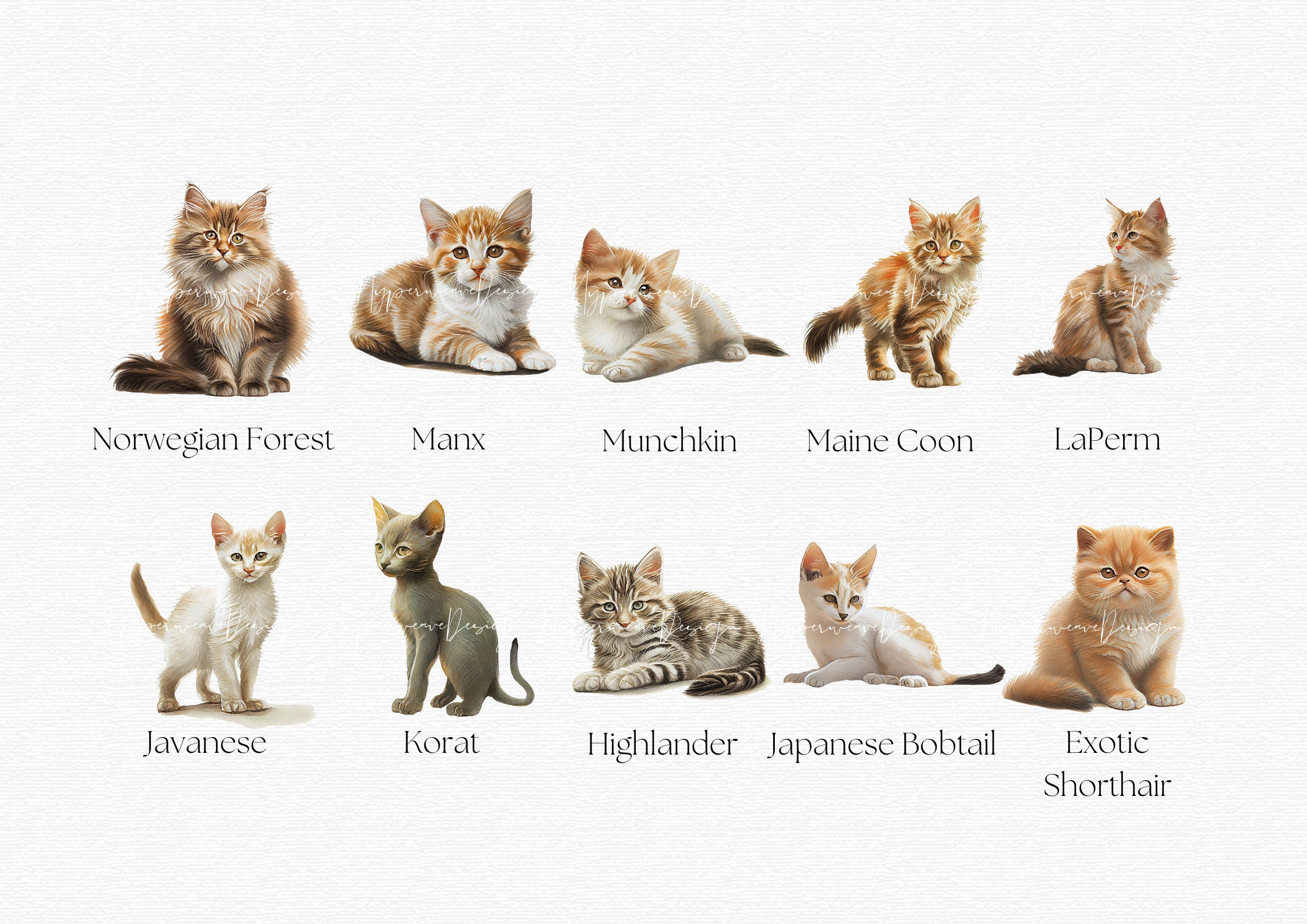 45 Kittens Clipart Set - Hand Drawn - Cat Breeds - Watercolor Digital ...