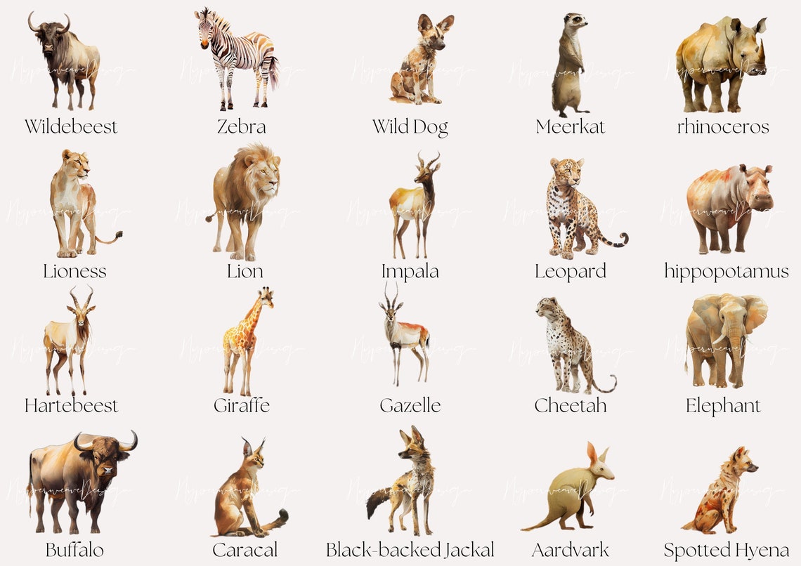 20 Safari Animals Clipart Set Hand Drawn Watercolor Digital PNG Lion ...