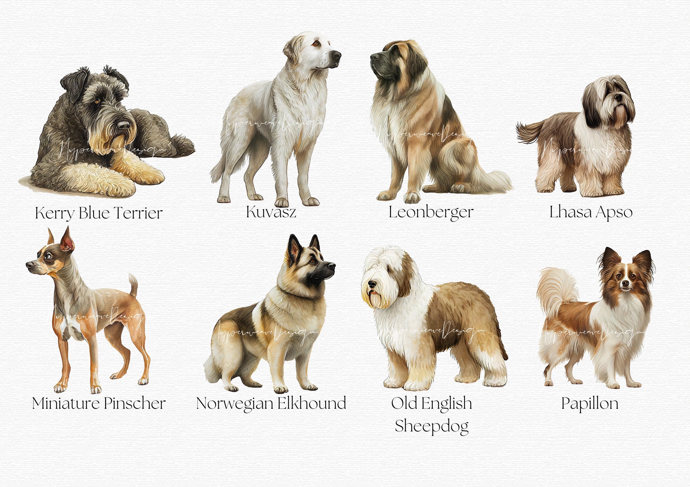 45 Dogs Clipart Set - Hand Drawn - Small Medium & Large Breeds ...