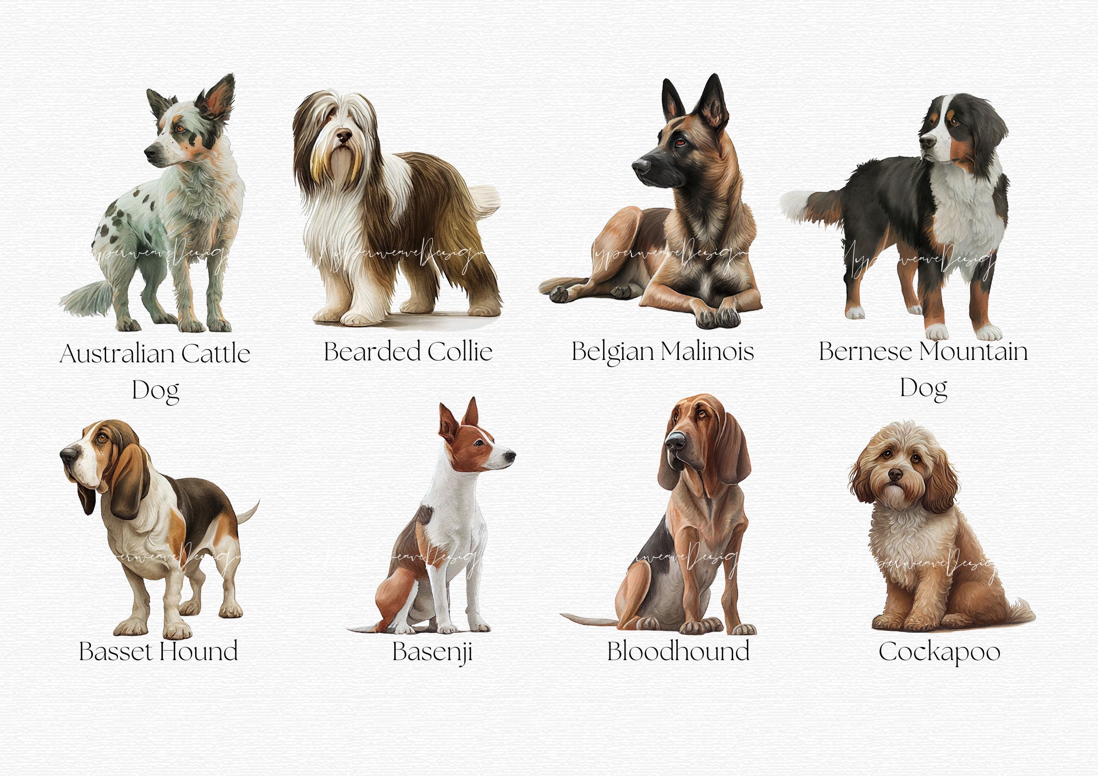 45 Dogs Clipart Set - Hand Drawn - Small Medium & Large Breeds ...
