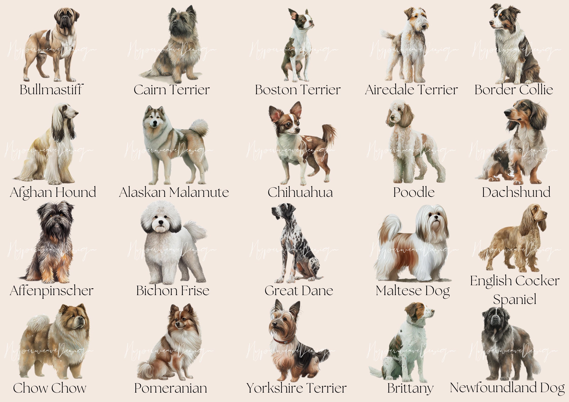 43 Dogs Clipart Set - Hand Drawn - Small Medium & Large Breeds ...