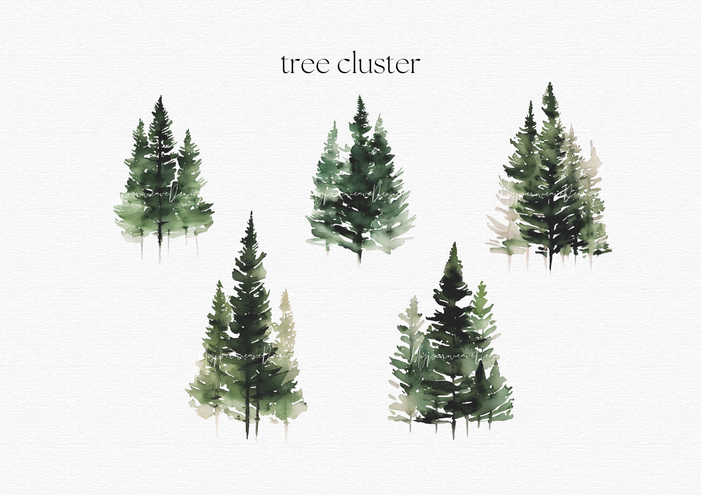 45 Watercolor Wild Forest Digital Clipart Set Enchanted - Etsy
