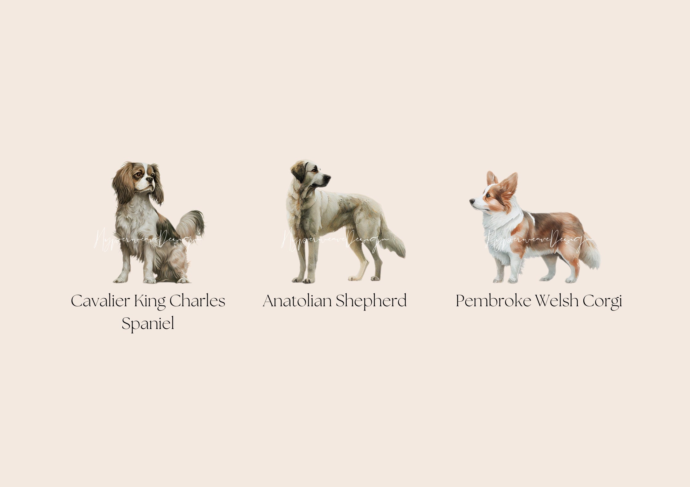 43 Dogs Clipart Set - Hand Drawn - Small Medium & Large Breeds ...