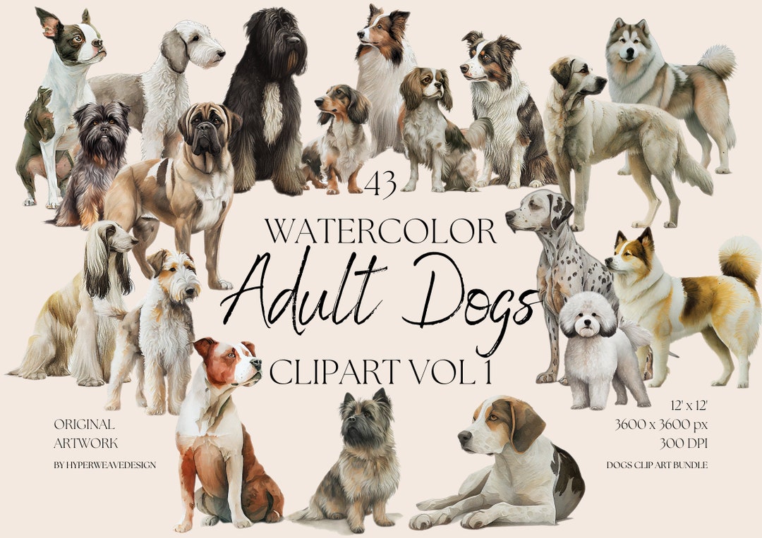 43 Dogs Clipart Set - Hand Drawn - Small Medium & Large Breeds ...