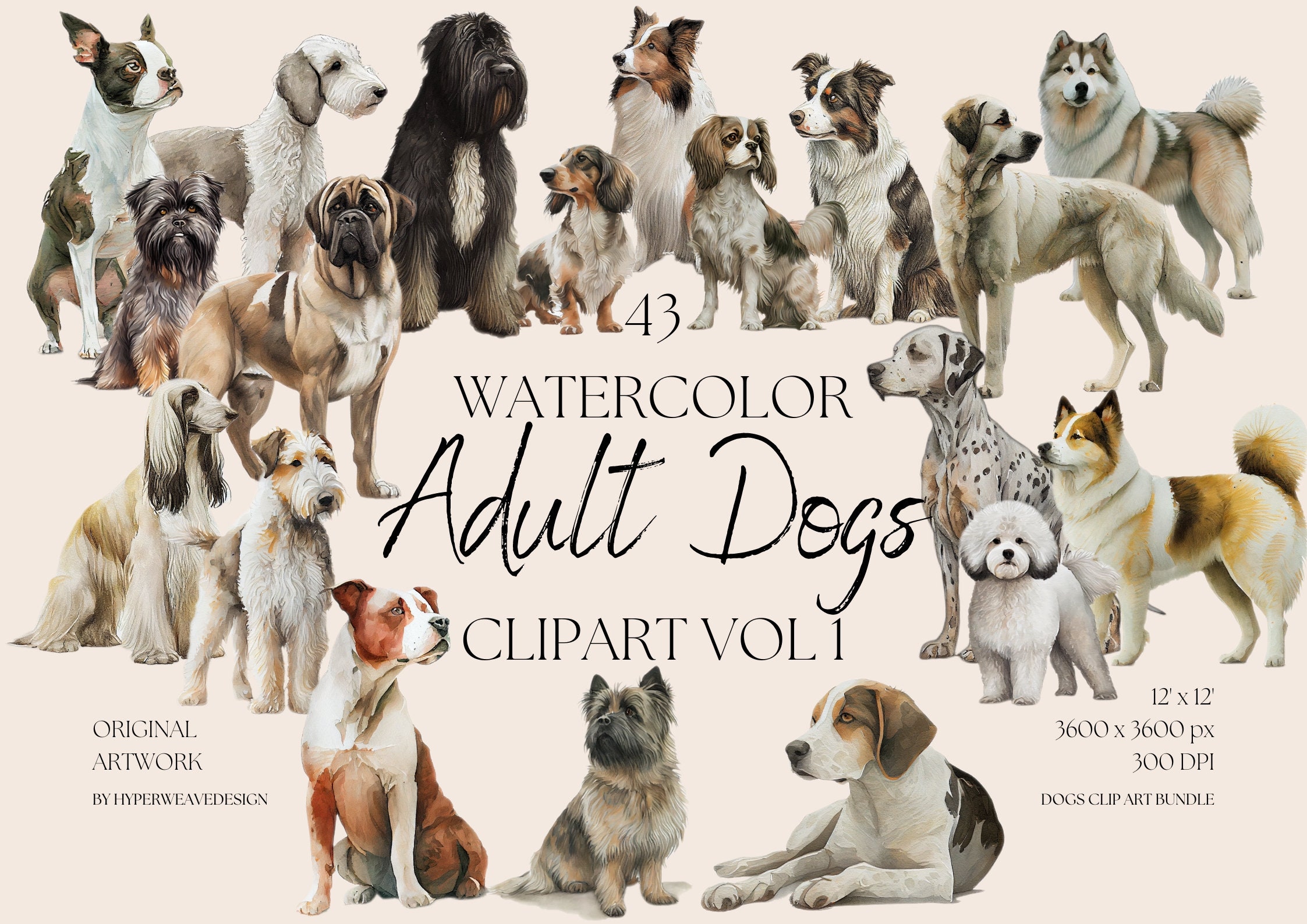43 Dogs Clipart Set Hand Drawn Small Medium & Large Breeds Watercolor ...