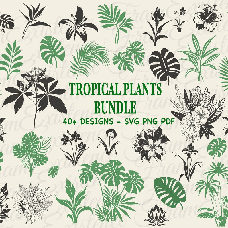 Tropical Svg - Etsy