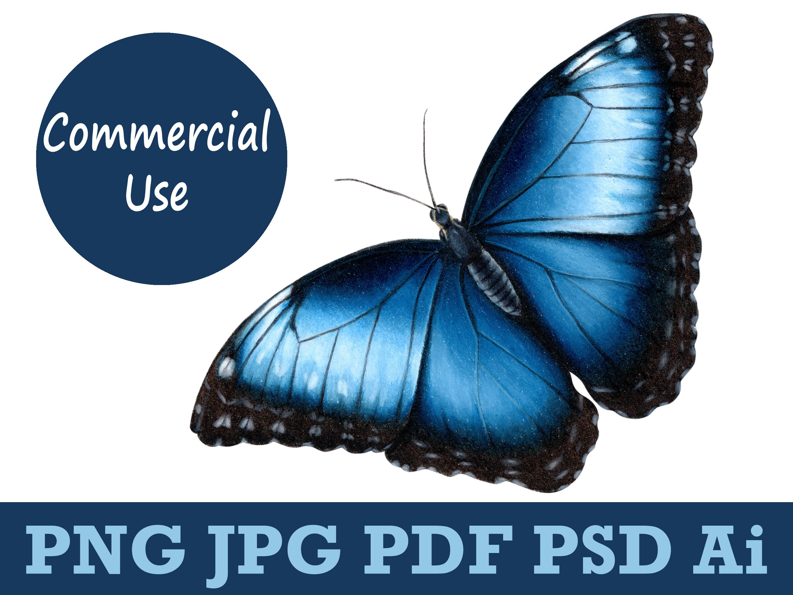 Blue Butterfly Clipart, Blue Morpho Butterfly, Butterfly Clip Art ...