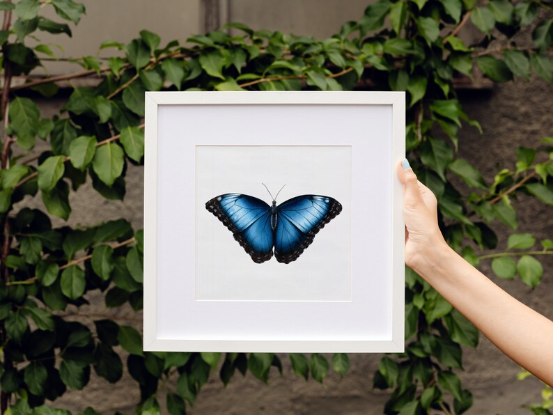 Blue Butterfly Clipart, Blue Morpho Butterfly, Butterfly Clip Art ...