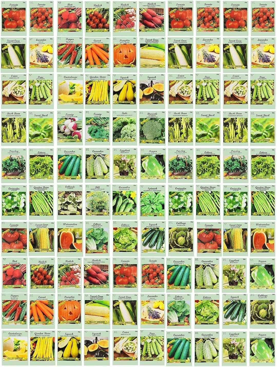 Heirloom Vegetable Seeds 100% Non-gmo Variety Pack - Etsy