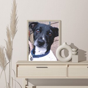 Printable Dog Jack Russell Photograph Animals DIGITAL DOWNLOAD Wall Art ...