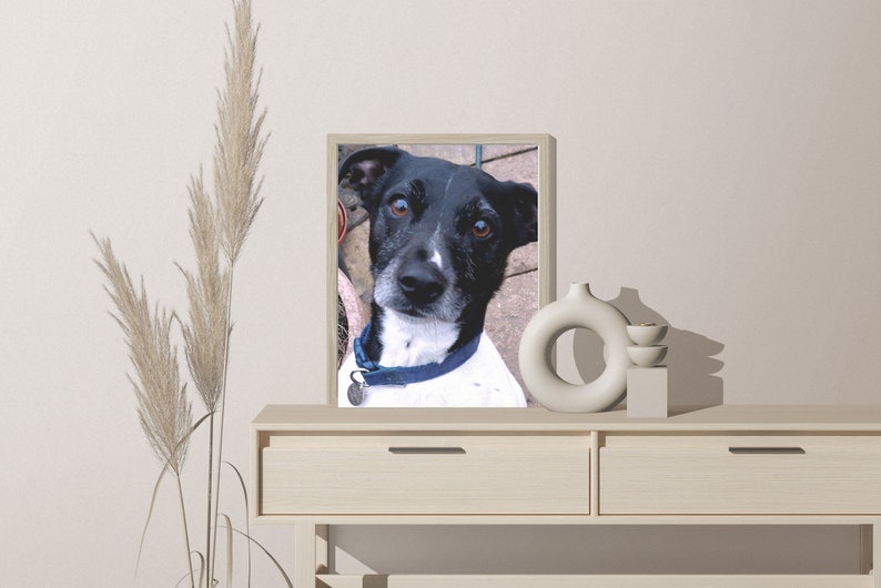 Printable Dog Jack Russell Photograph Animals DIGITAL DOWNLOAD Wall Art ...