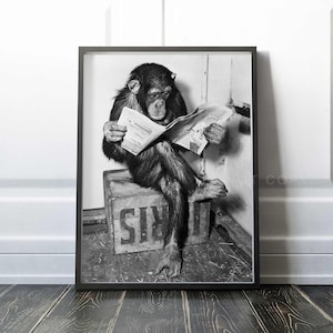 Chimpanzee Reading Newspaper | Vintage | Premium Print - Etsy