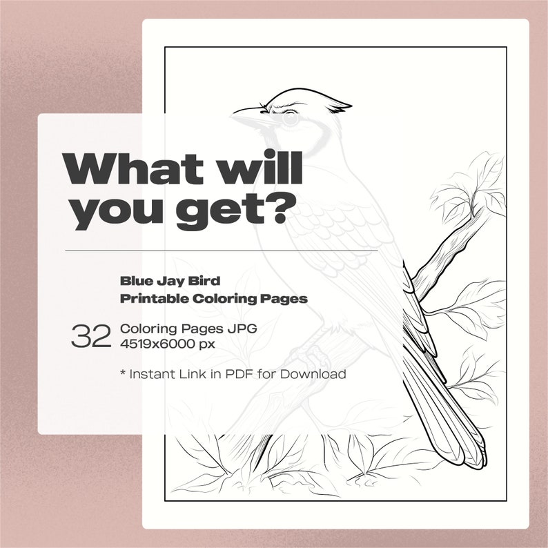 Blue Jay Bird Coloring Page, Bird Sketch, Nature Print, Ornate Outline ...