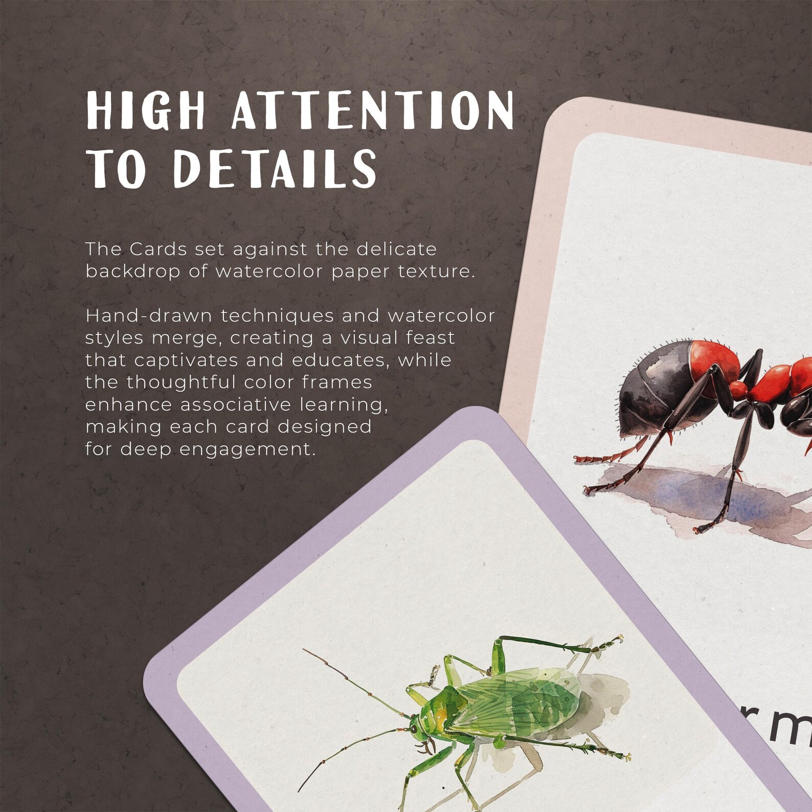 Montessori Insect and Bug Flashcards - Printable Educational Cards for ...