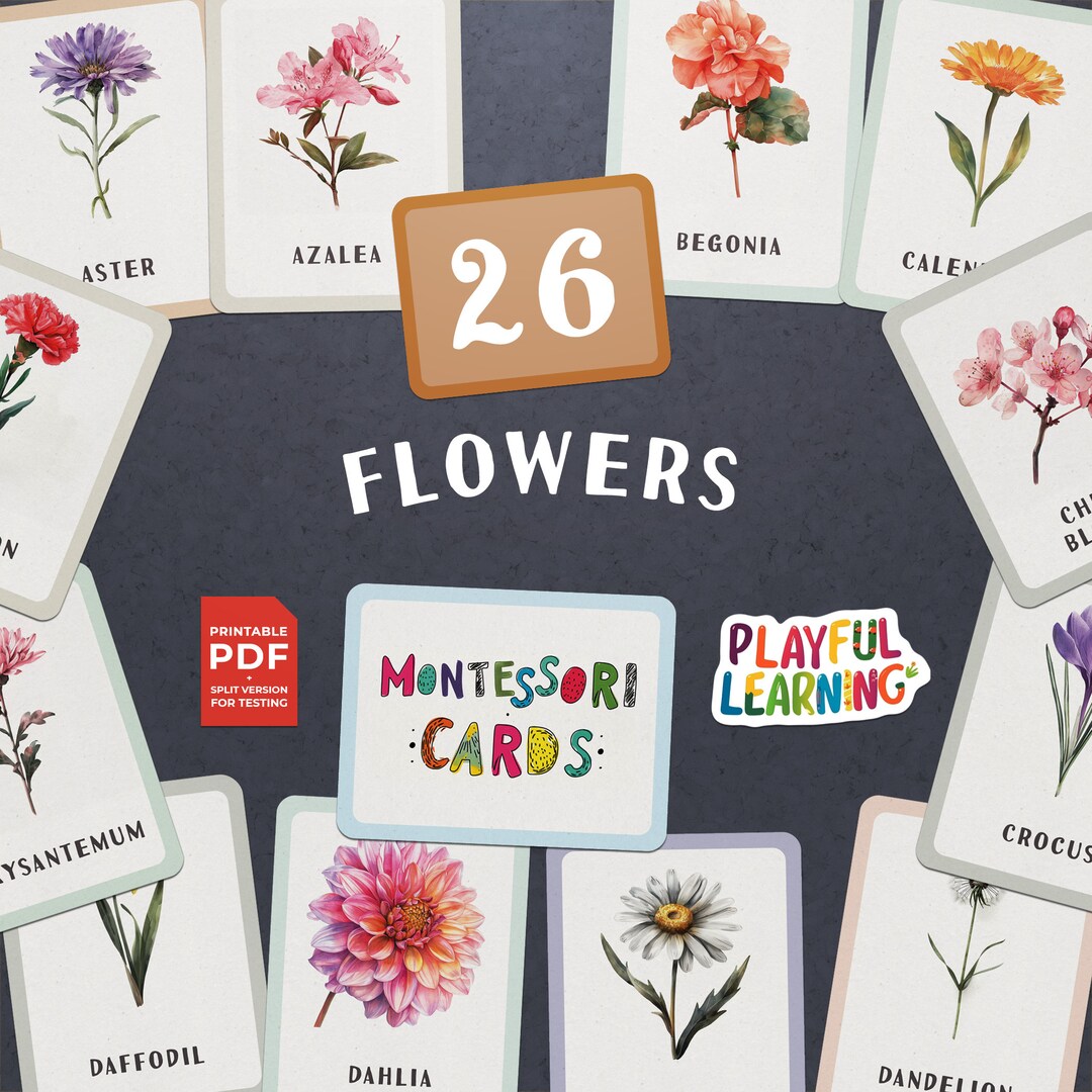 Montessori Flower Cards - Printable Educational Flashcards for Kids ...