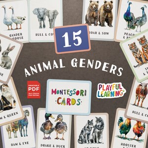 Montessori Animal Gender Cards - Printable Flashcards for Kids Learning ...