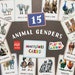 Montessori Animal Gender Cards Printable Flashcards for Kids Learning ...