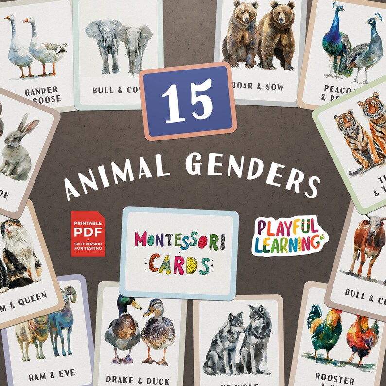 Montessori Animal Gender Cards Printable Flashcards for Kids Learning ...