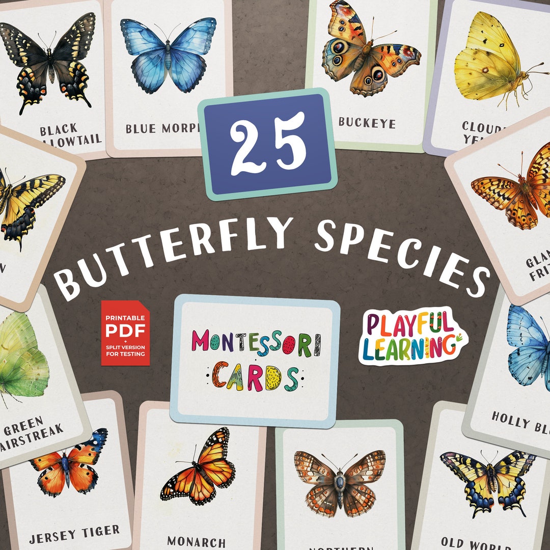 Montessori Butterfly Species Cards - Printable Educational Flashcards ...