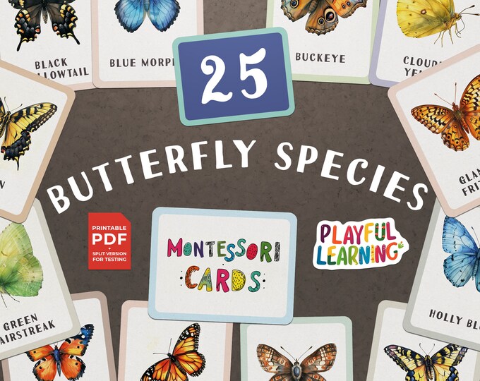 Montessori Butterfly Species Cards - Printable Educational Flashcards ...