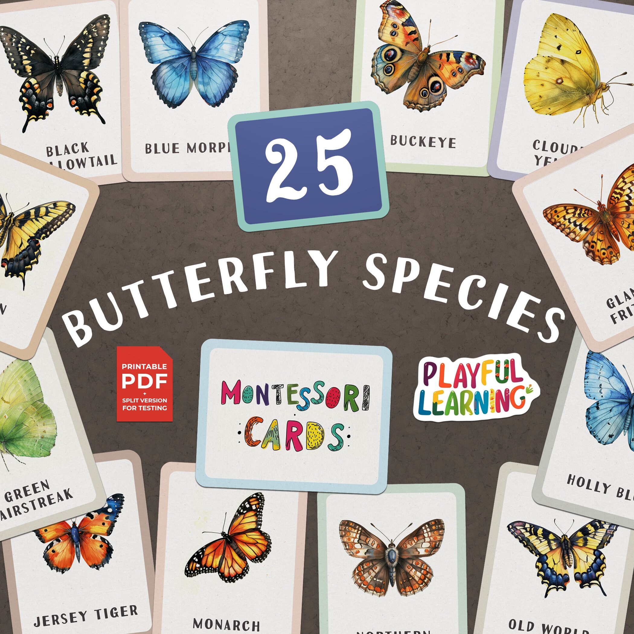 Montessori Butterfly Species Cards - Printable Educational Flashcards ...