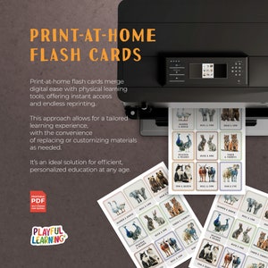 Montessori Animal Gender Cards - Printable Flashcards for Kids Learning ...