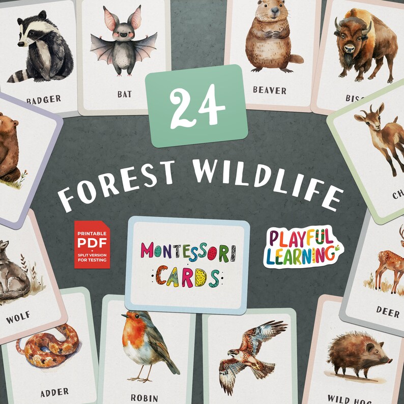Montessori Forest Wildlife Cards - Printable Educational Flashcards for ...