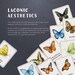 Montessori Butterfly Species Cards - Printable Educational Flashcards ...