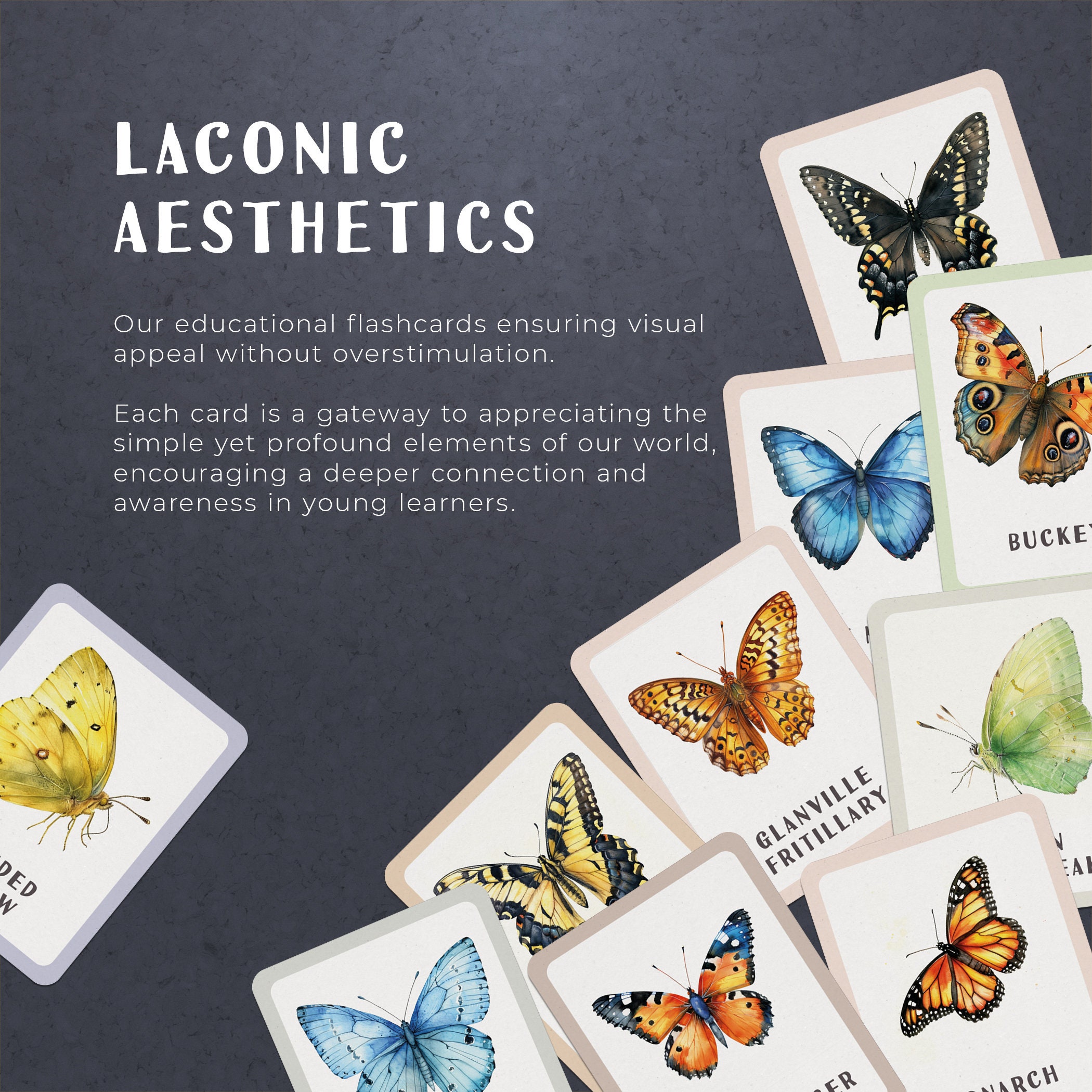 Montessori Butterfly Species Cards - Printable Educational Flashcards ...