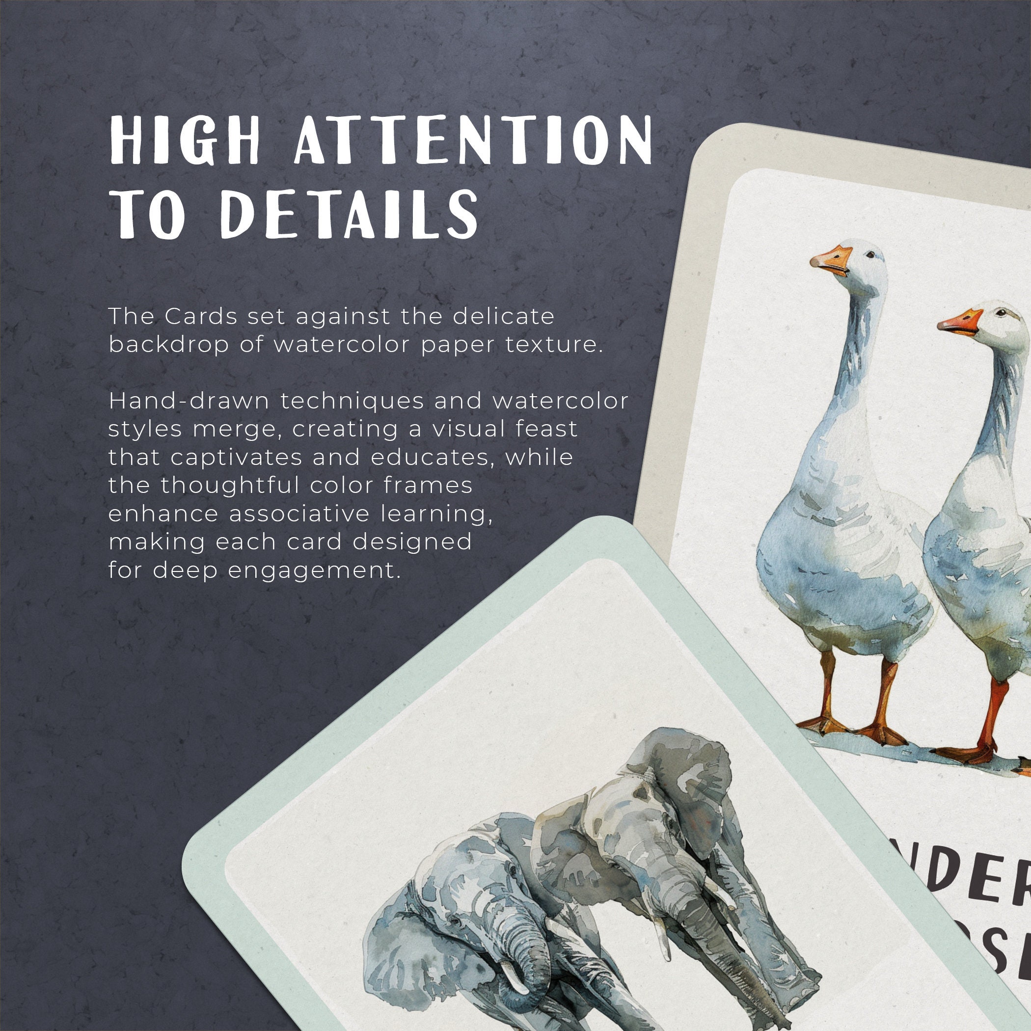 Montessori Animal Gender Cards Printable Flashcards for Kids Learning ...