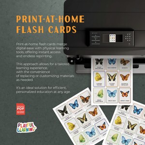 Montessori Butterfly Species Cards - Printable Educational Flashcards ...