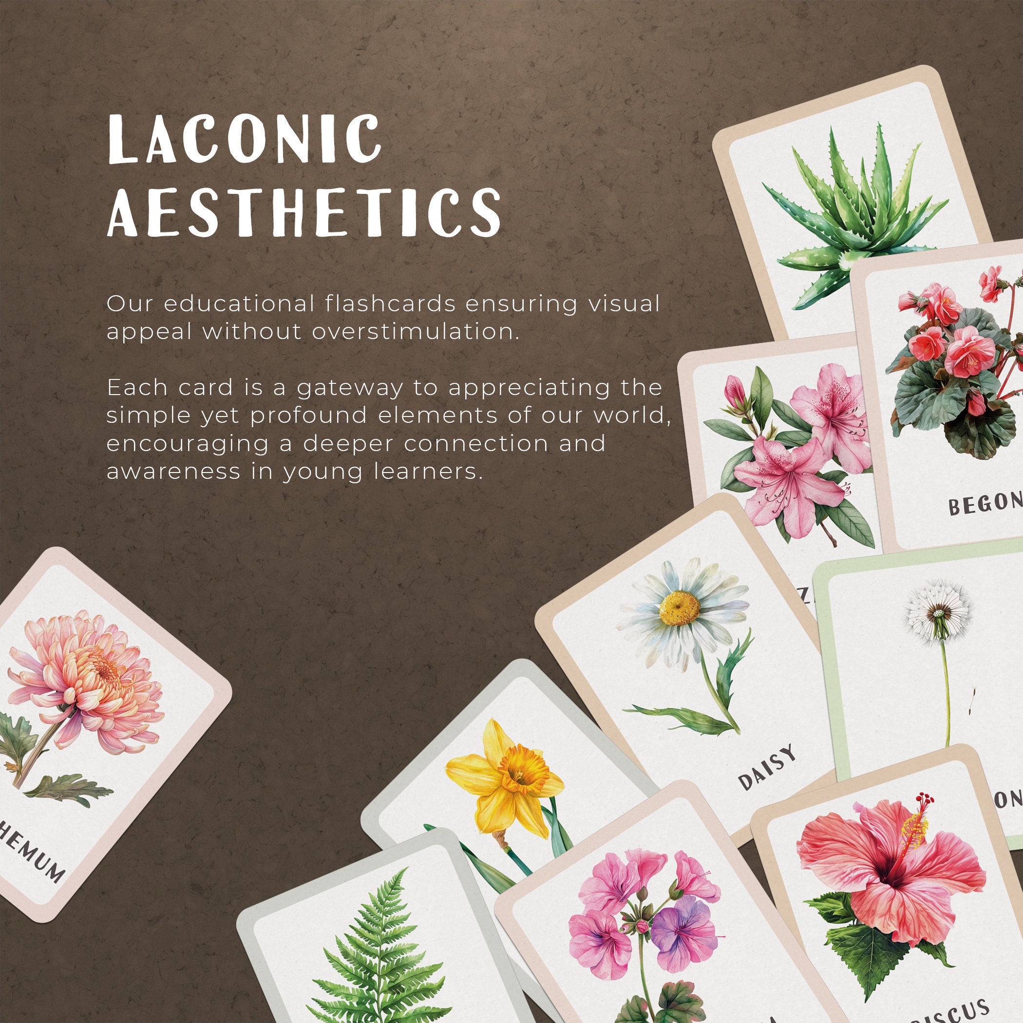 Montessori Garden Plants Flashcards Educational Printable for Kids ...