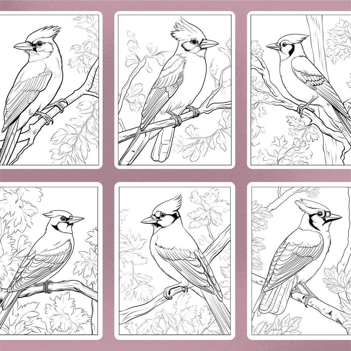 Blue Jay Bird Coloring Page, Bird Sketch, Nature Print, Ornate Outline ...