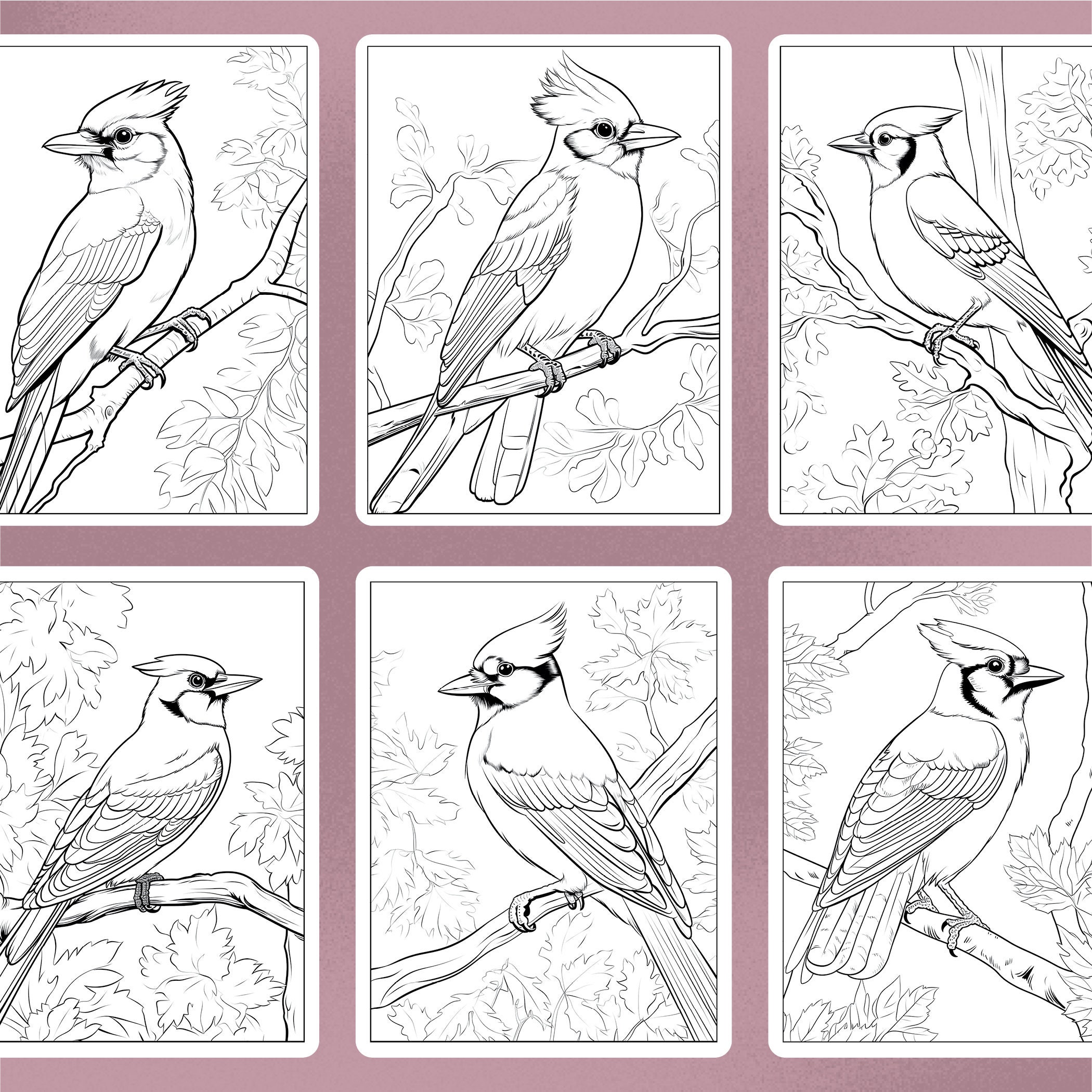 Blue Jay Bird Coloring Page, Bird Sketch, Nature Print, Ornate Outline ...