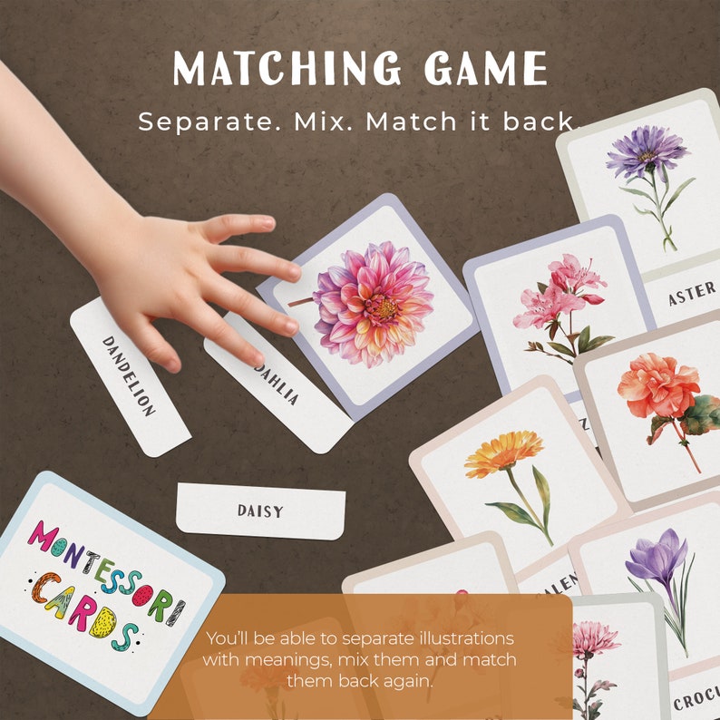 Montessori Flower Cards - Printable Educational Flashcards for Kids ...