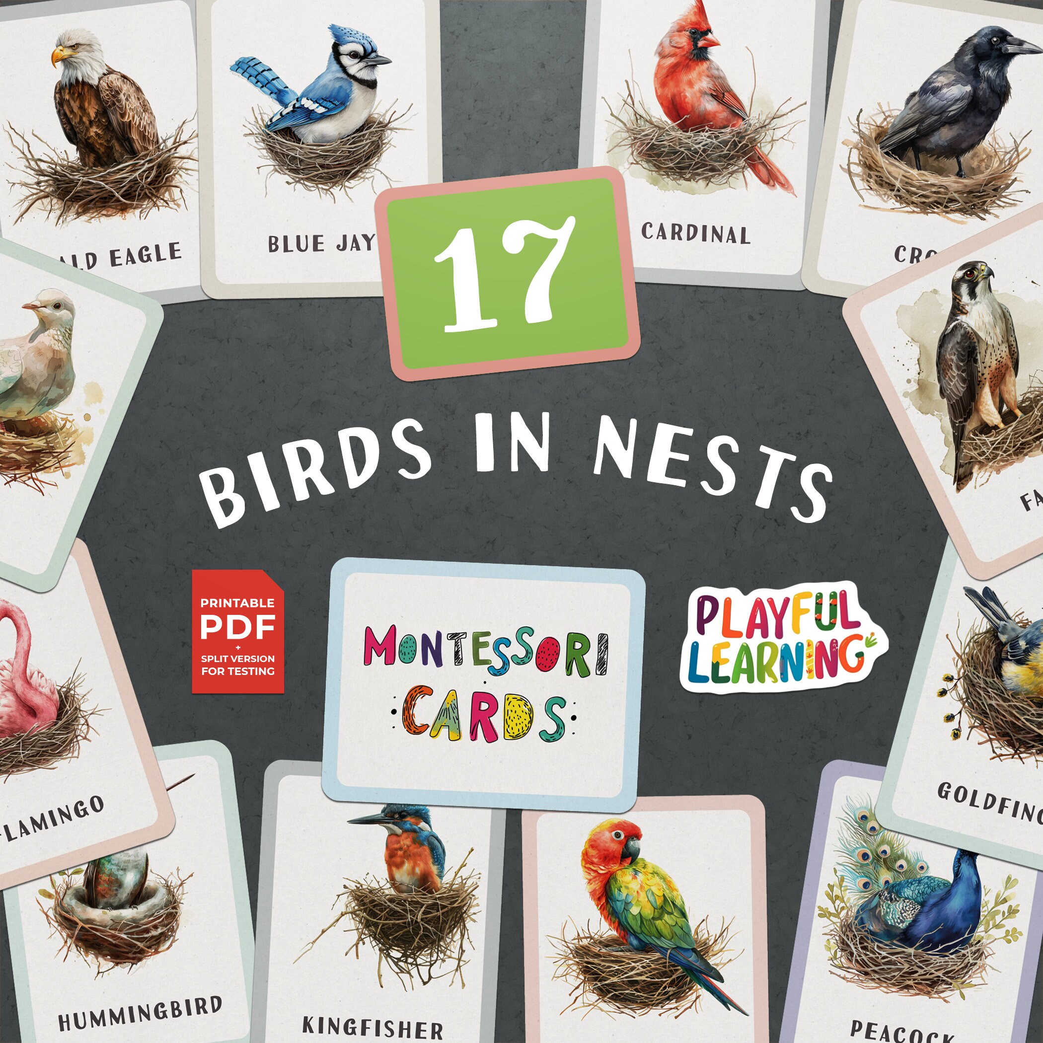 Montessori Cards: Birds and Their Nests Educational Flashcards for Kids ...