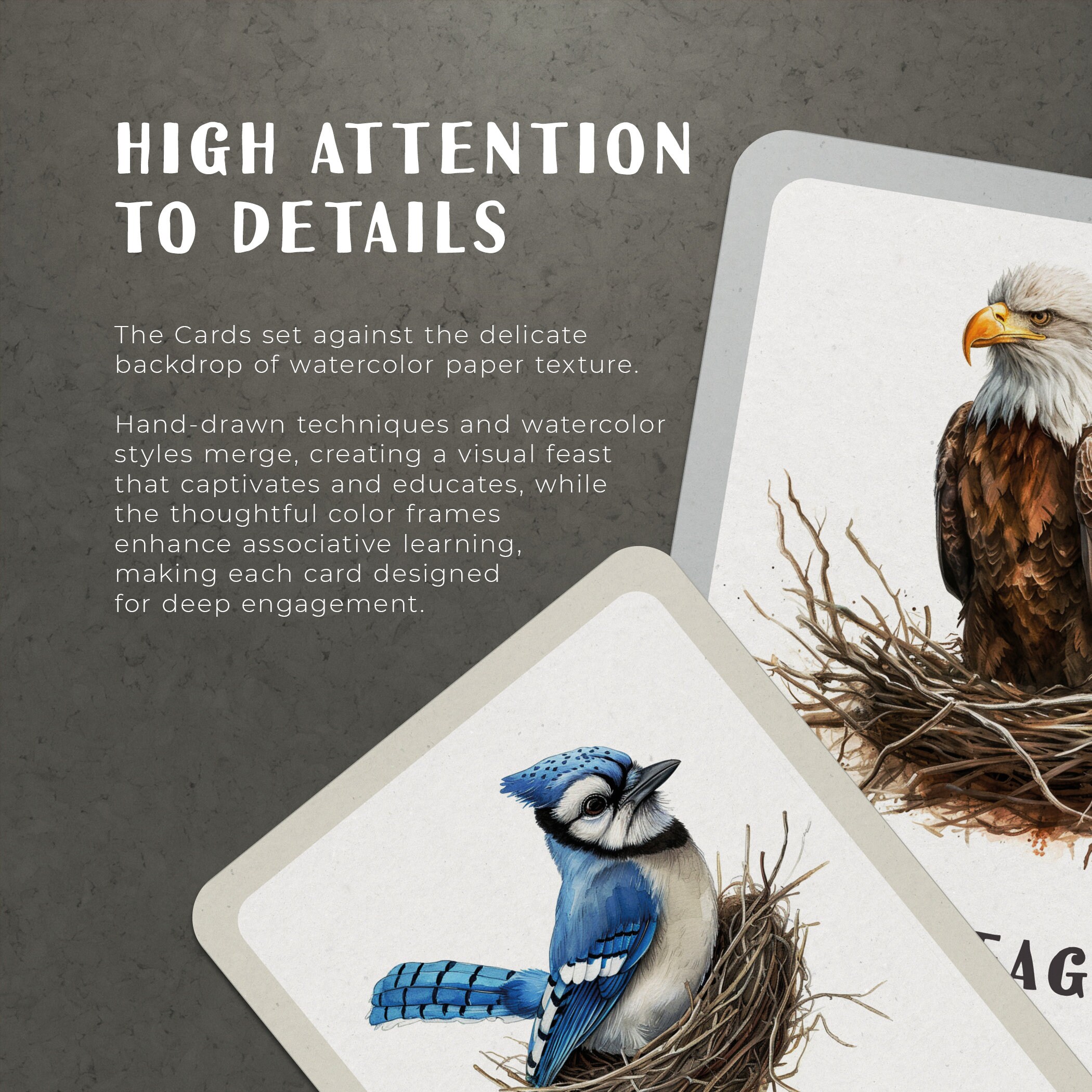 Montessori Cards: Birds and Their Nests Educational Flashcards for Kids ...