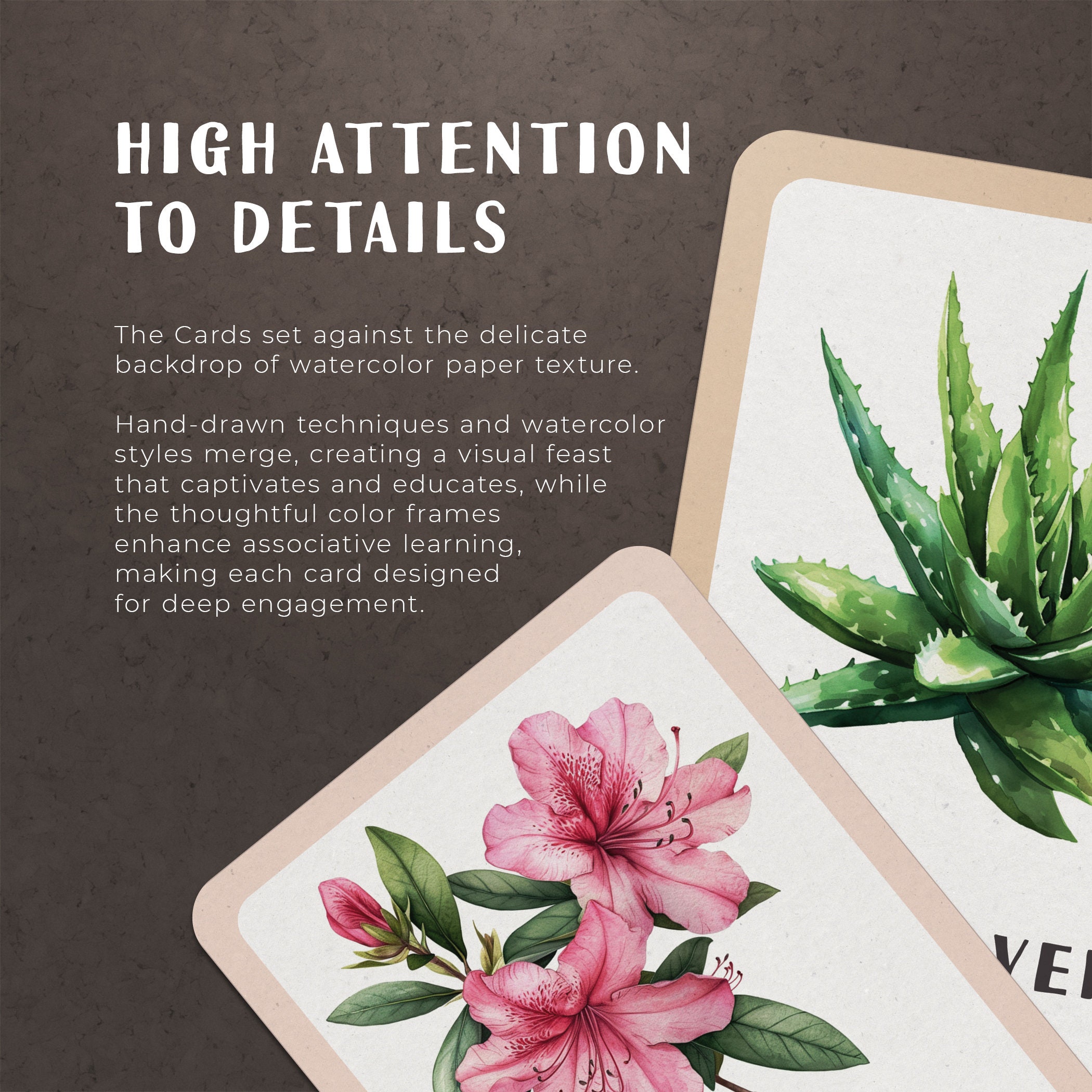 Montessori Garden Plants Flashcards Educational Printable for Kids ...