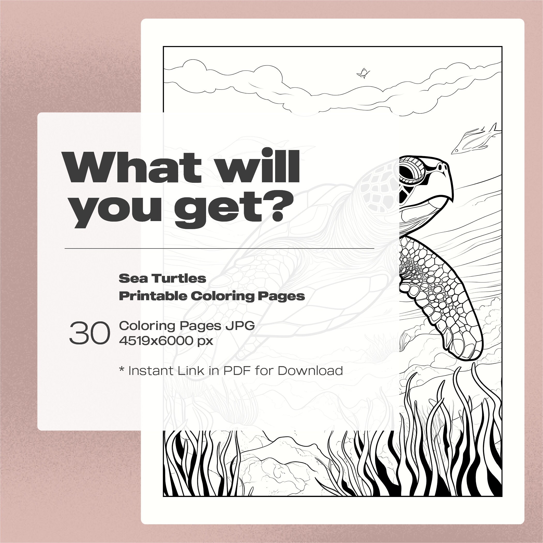 Sea Turtles Grayscale Coloring Pages, Underwater Scene, Marine Life ...