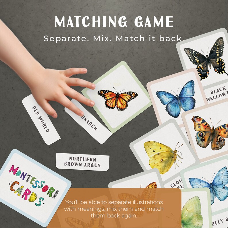 Montessori Butterfly Species Cards - Printable Educational Flashcards ...