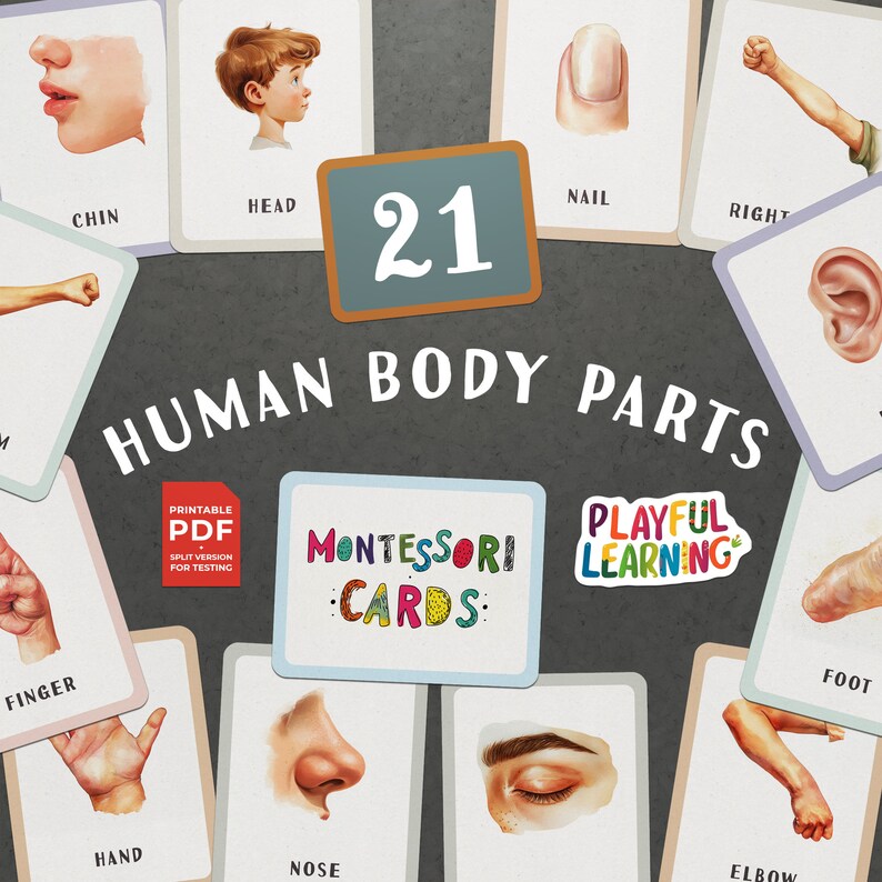 Montessori Human Body Parts Educational Cards - Printable Anatomy ...