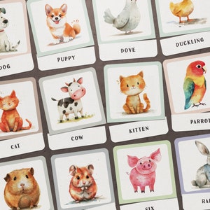 Almost Free Animals Montessori Learning Flash Cards for Kids and ...