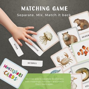 Montessori Cards: Animals That Live in Water - Educational Printable ...