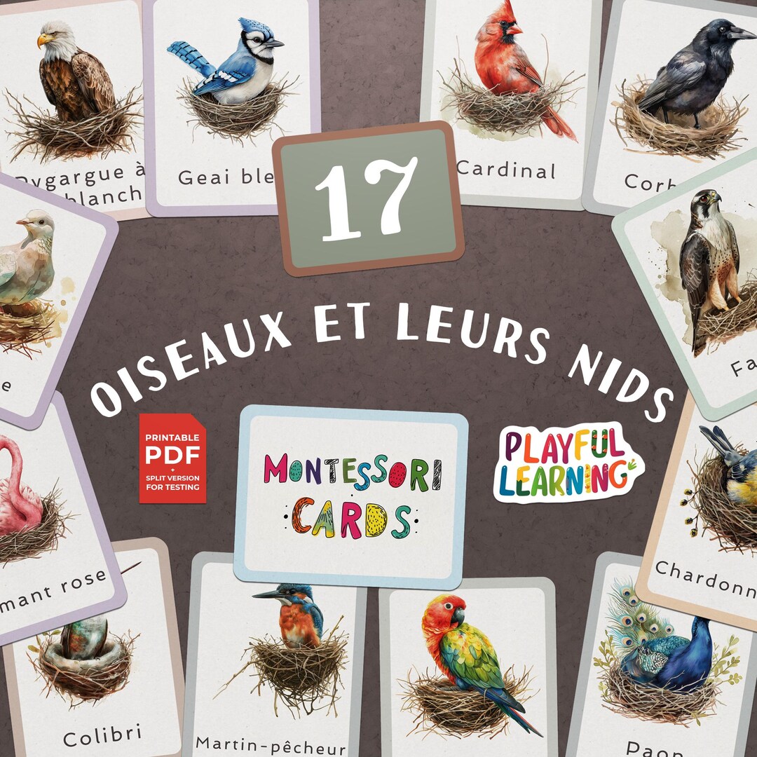 Cartes Éducatives Montessori Oiseaux Et Leurs Nids - Cartes Imprimables ...