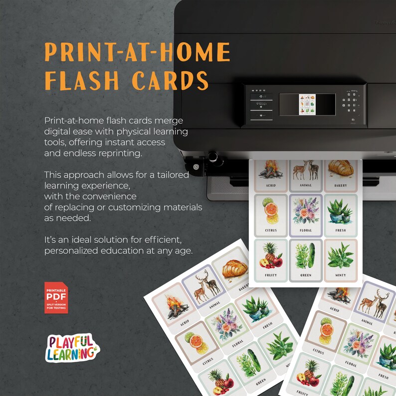 Montessori Smells Flash Cards Sensory Learning for Kids, Toddlers ...