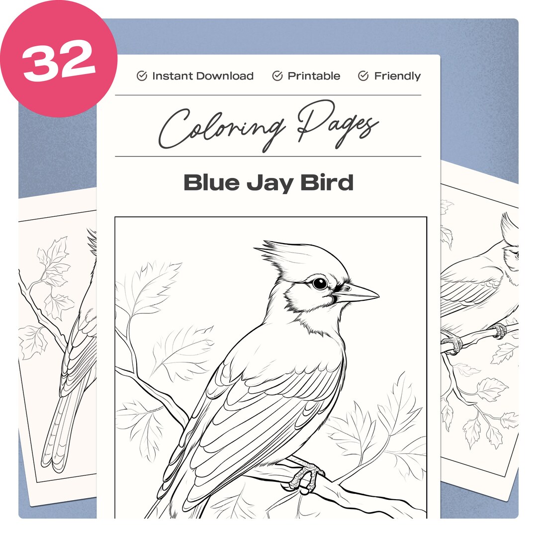 Blue Jay Bird Coloring Page, Bird Sketch, Nature Print, Ornate Outline ...