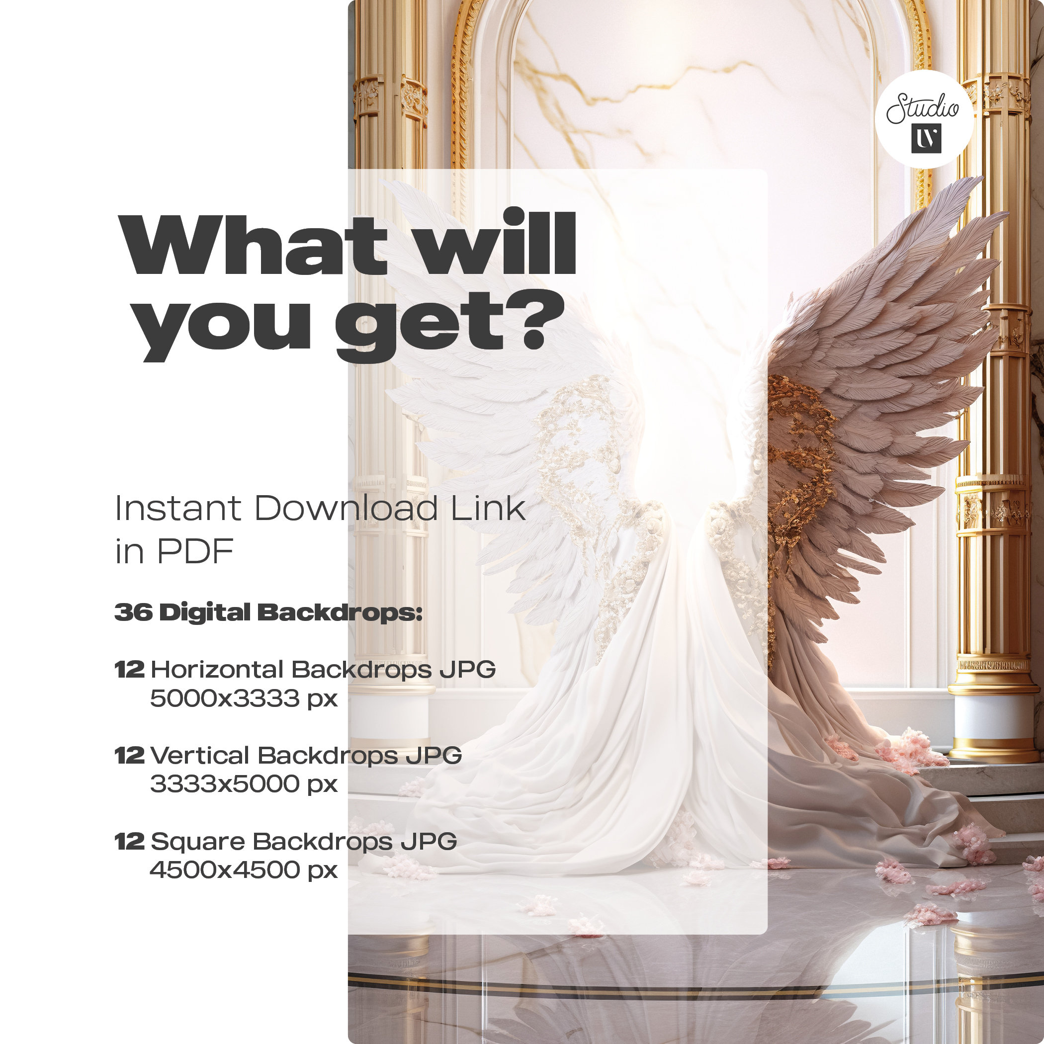 Large Angel Wings Digital Photo Backdrops - Angel Wings Backdrops ...