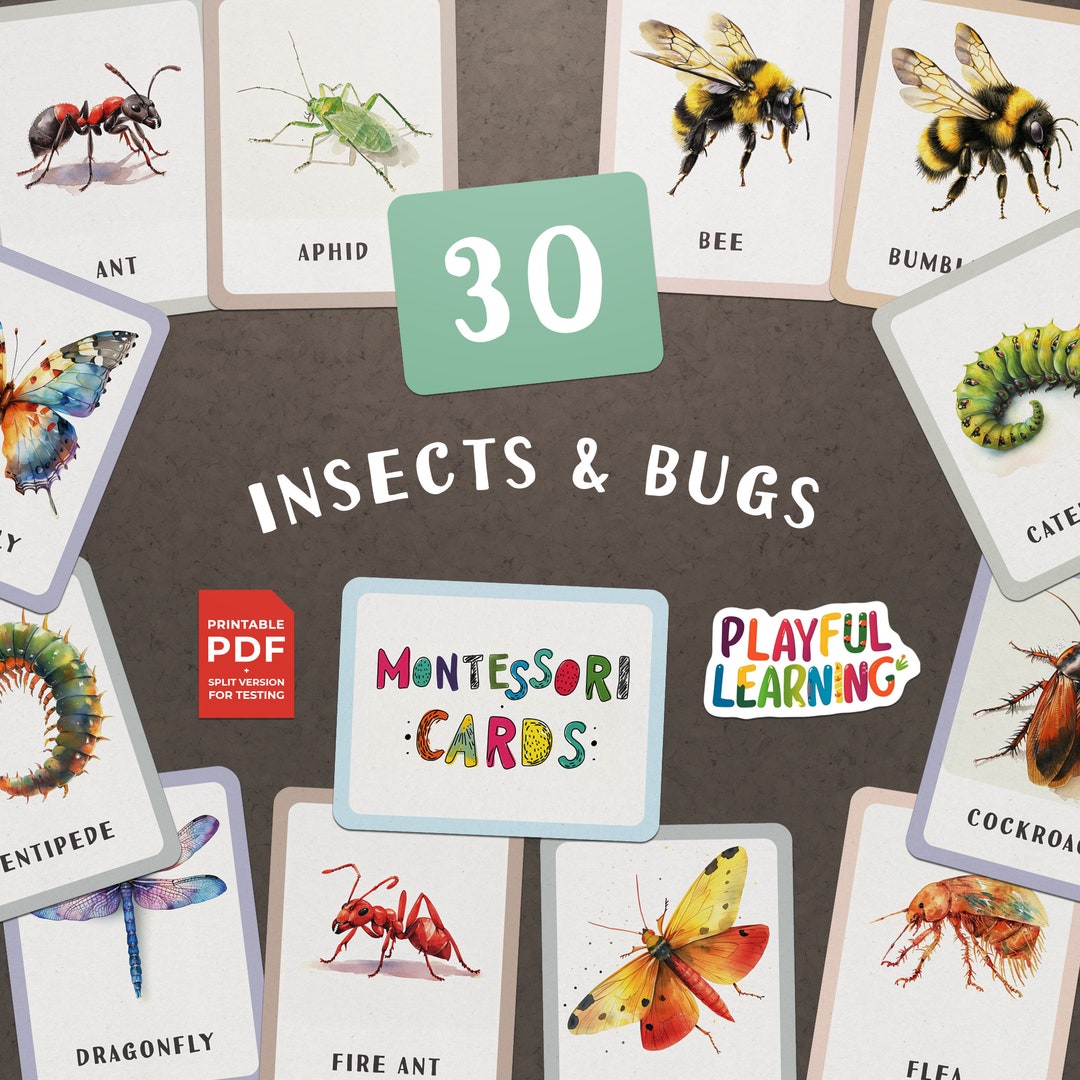 Montessori Insect and Bug Flashcards Printable Educational Cards for ...